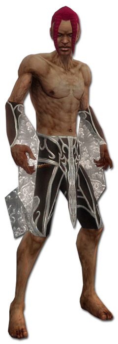 Nekromant Vaabi-Rüstung – GuildWiki