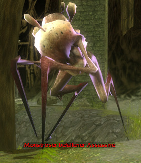 Monströser befallener Assassine – GuildWiki
