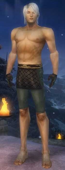 Mesmer Vaabi-Rüstung – GuildWiki