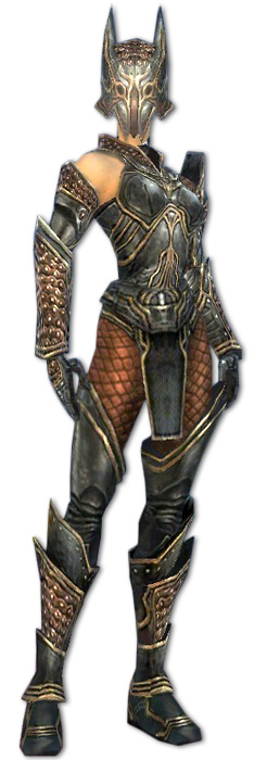 Rüstung (Krieger) – GuildWiki