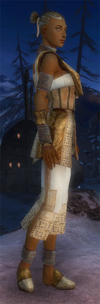 Mönch Vaabi-Rüstung – GuildWiki