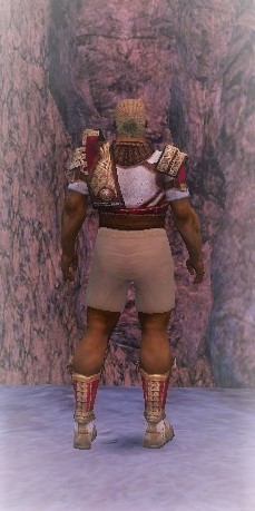 Krieger Vaabi-Rüstung – GuildWiki