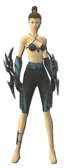 Assassine Vaabi-Rüstung – GuildWiki