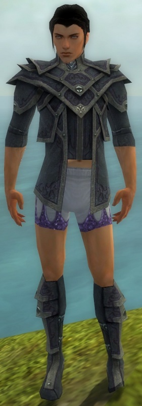 Elementarmagier Kryta-Rüstung – GuildWiki