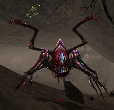 Selvetarm – GuildWiki