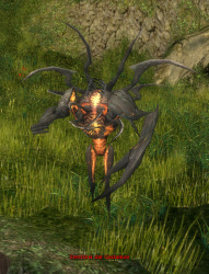 Zerstörer-Form – GuildWiki