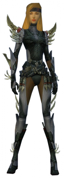 Kryta-Rüstung – GuildWiki