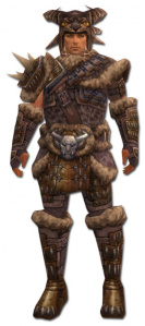 Rüstung (Krieger) – GuildWiki