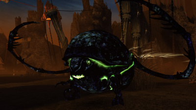 Die Schwarze Bestie von Arrgh – GuildWiki