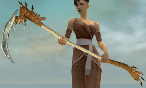 Sense (Galerie) – GuildWiki