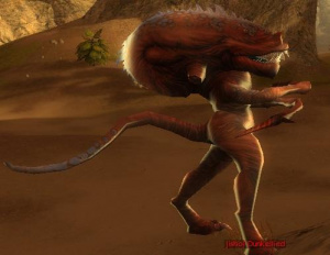 Jishol Dunkellied – GuildWiki