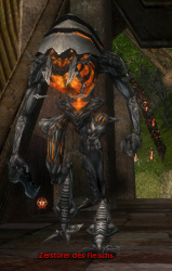 Zerstörer-Form – GuildWiki