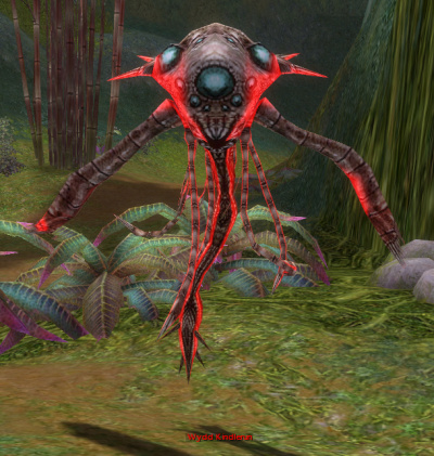 Wydd Kindlerun – GuildWiki