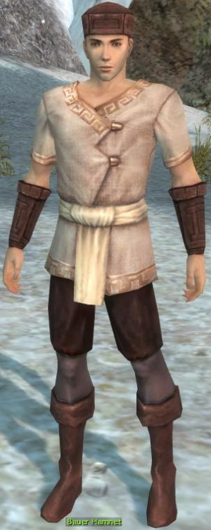 Bauer Hamnet (Tutorial) – GuildWiki